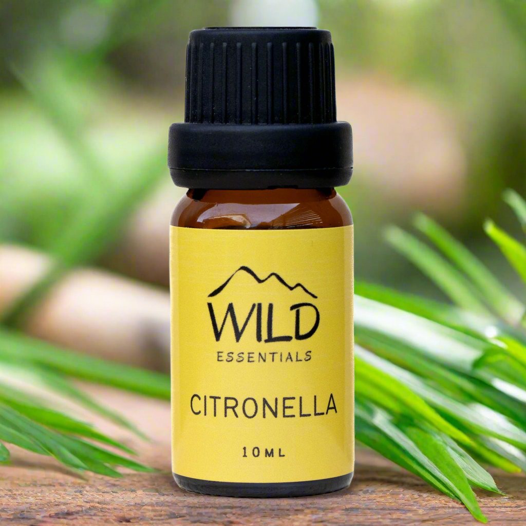 Citronella Essential Oil | Wild Essentials