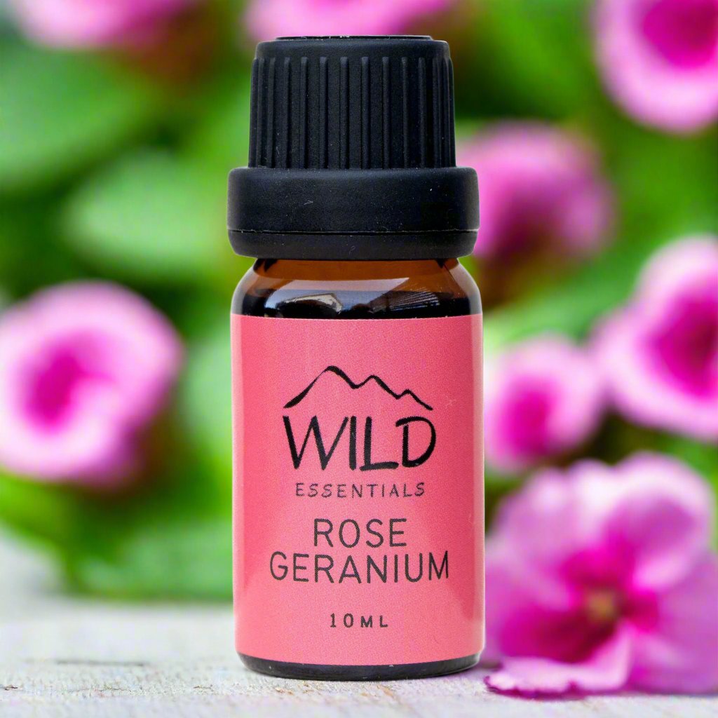 Rose Geranium Essential Oil | Wild Essentials